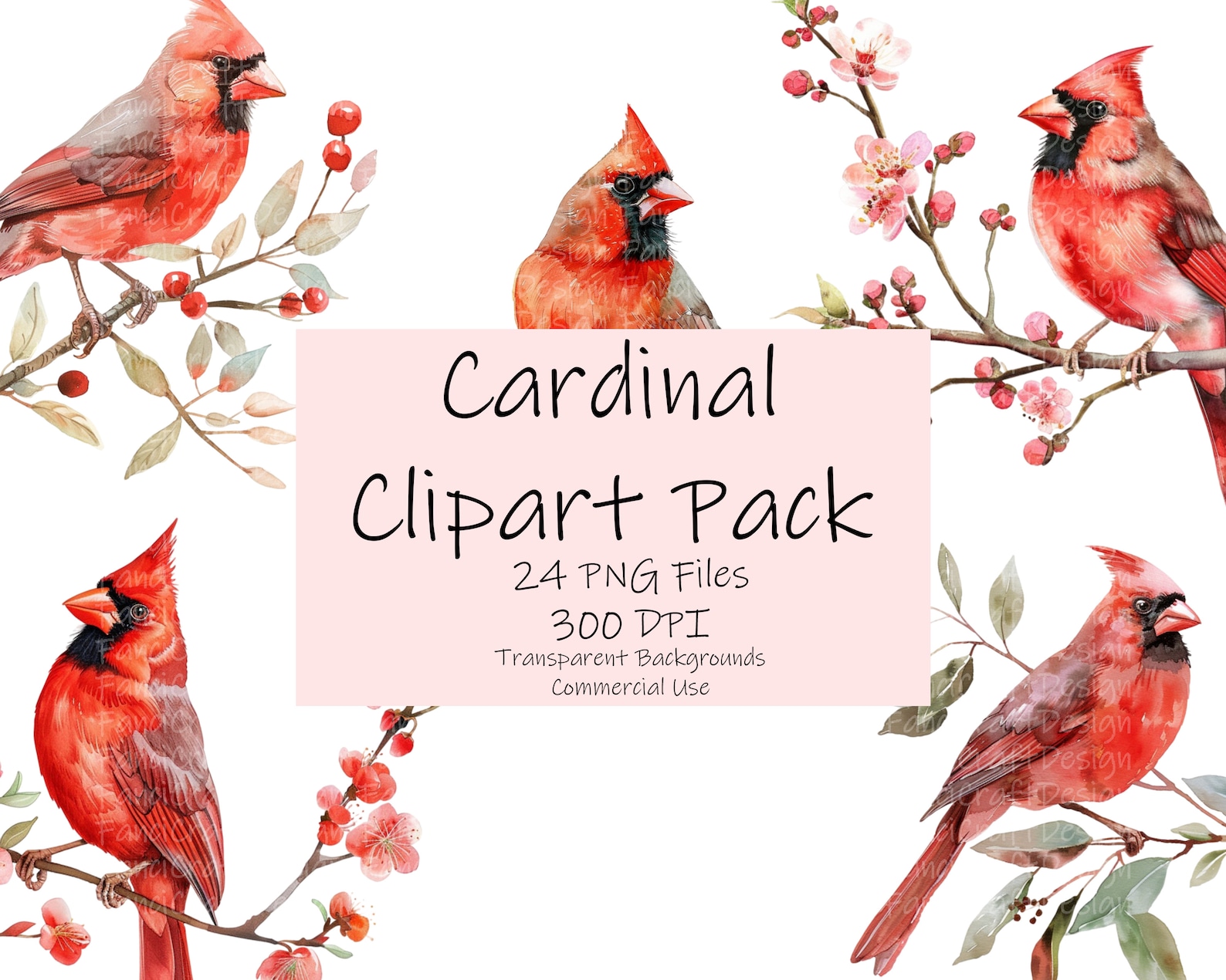Cardinal Bird Clipart Pack Watercolor Red Bird PNG Digital Download 300 ...