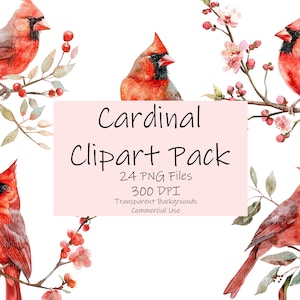 Cardinal Bird Clipart Pack Watercolor Red Bird PNG Digital Download 300 ...