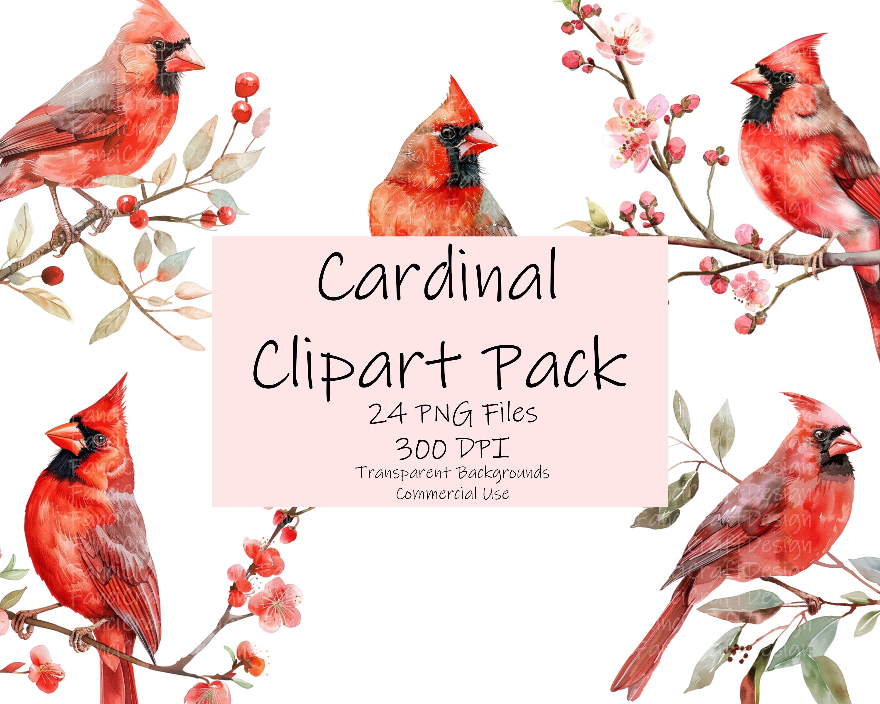Cardinal Bird Clipart Pack Watercolor Red Bird PNG Digital Download 300 ...