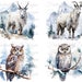 36 Winter Animals Clipart Pack Christmas Snow PNG Digital Download 300 ...