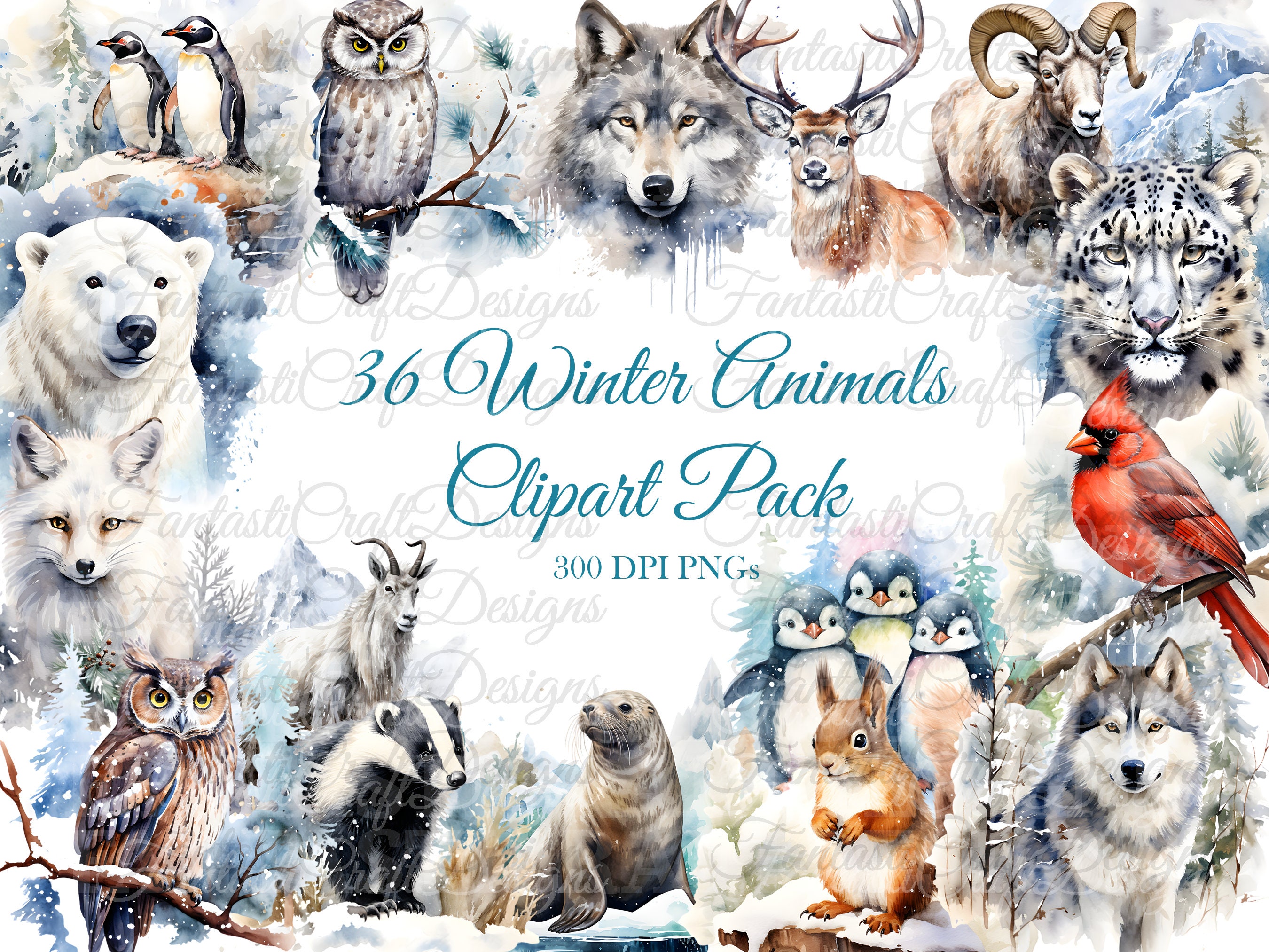36 Winter Animals Clipart Pack Christmas Snow PNG Digital Download 300 ...