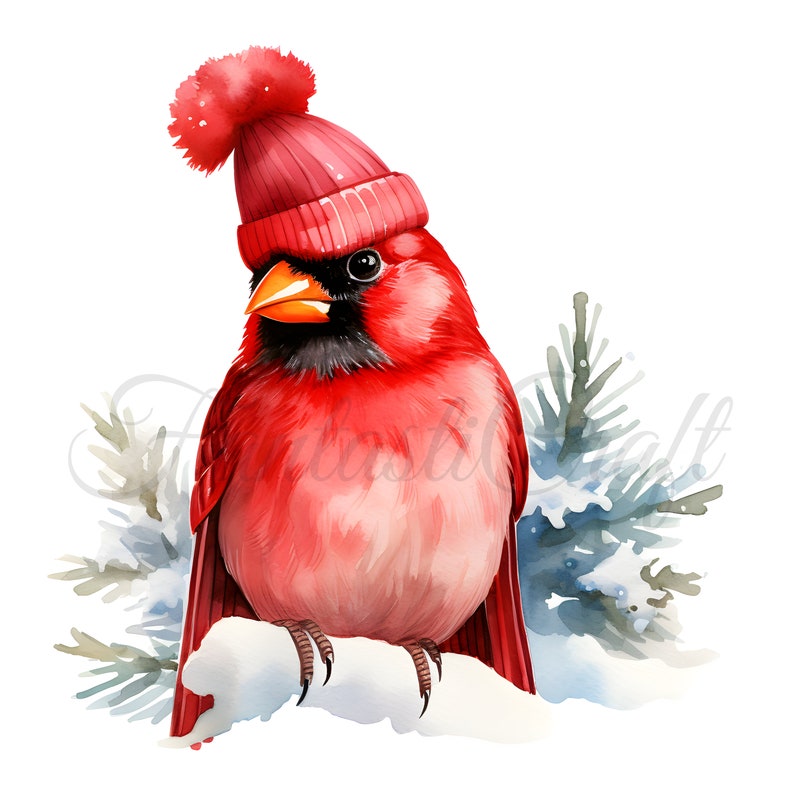 12 Cardinal Red Christmas Clipart Pack Christmas Bird JPG Digital ...