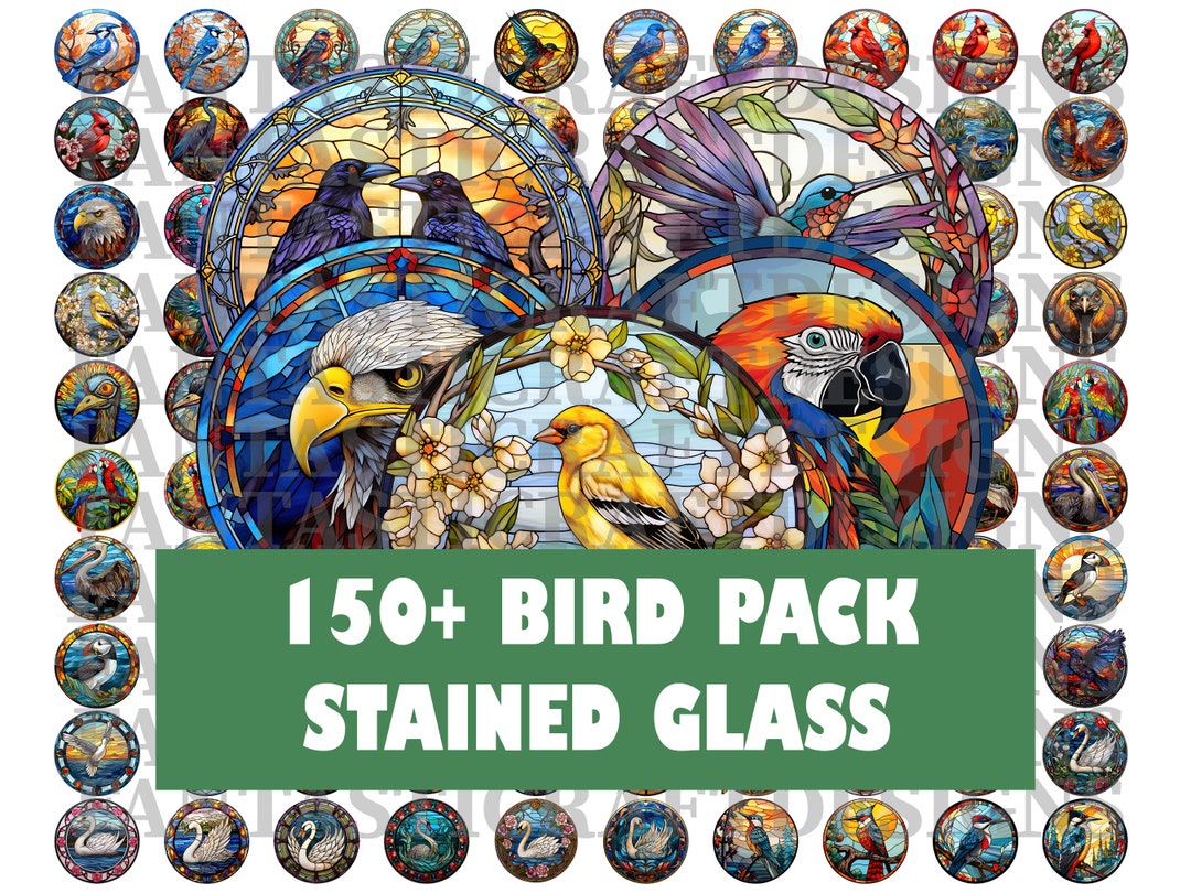 150+ Stained Glass Bird Pack Transparent Circle PNG Digital Download ...