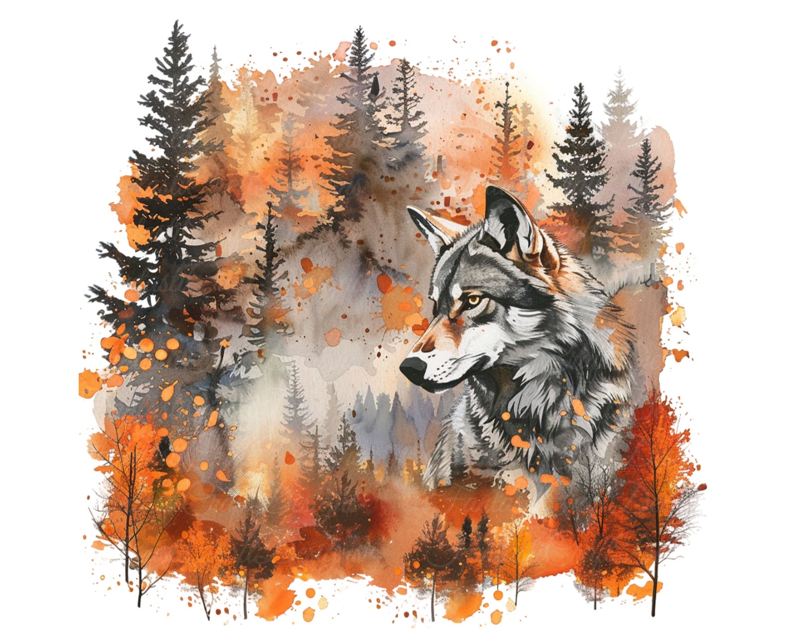 Wolf Orange 12 Pack #1 Forest Animal Watercolor Moon Clipart Wolves PNG ...