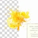36 Yellow Paint Splatter Splashes Watercolor Clipart Splotches Pack PNG ...