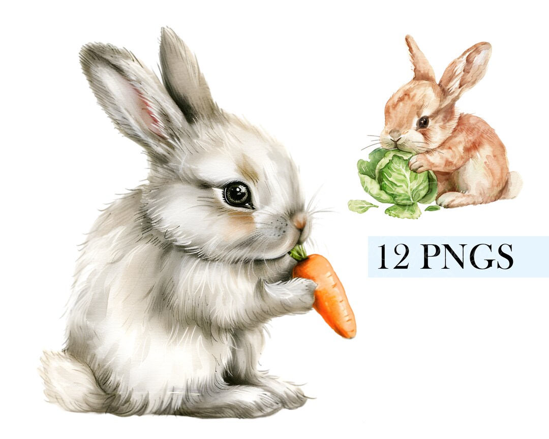 12 Cute Easter Bunny Animal Watercolor Clipart Fluffy Rabbit Pack PNG ...