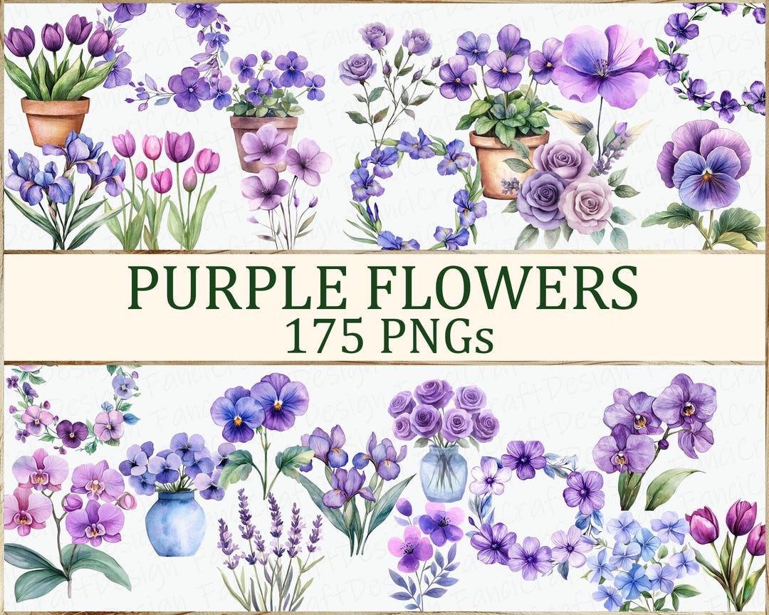 Purple Flowers 175 Floral Clipart Pack Watercolor Printable PNG Digital ...