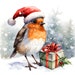 12 Christmas Robin Clipart Pack Christmas Bird JPG Digital Download 300 ...