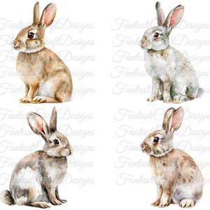 22 Cute Easter Bunny Animal Watercolor Clipart Vintage Rabbit Pack PNG ...