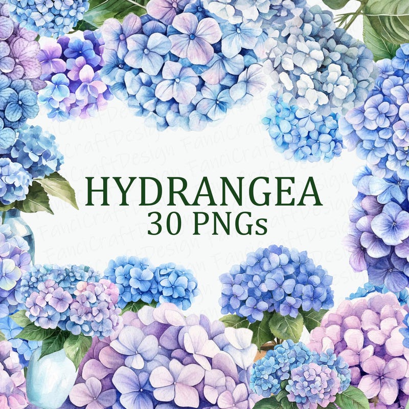 Hydrangea and Roses Print - Etsy