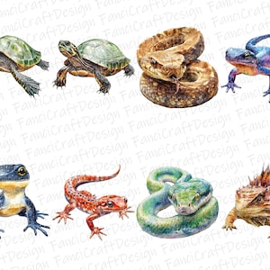 Reptile Turtle Alligator Lizard Snake 40 Animal Watercolor Clipart ...