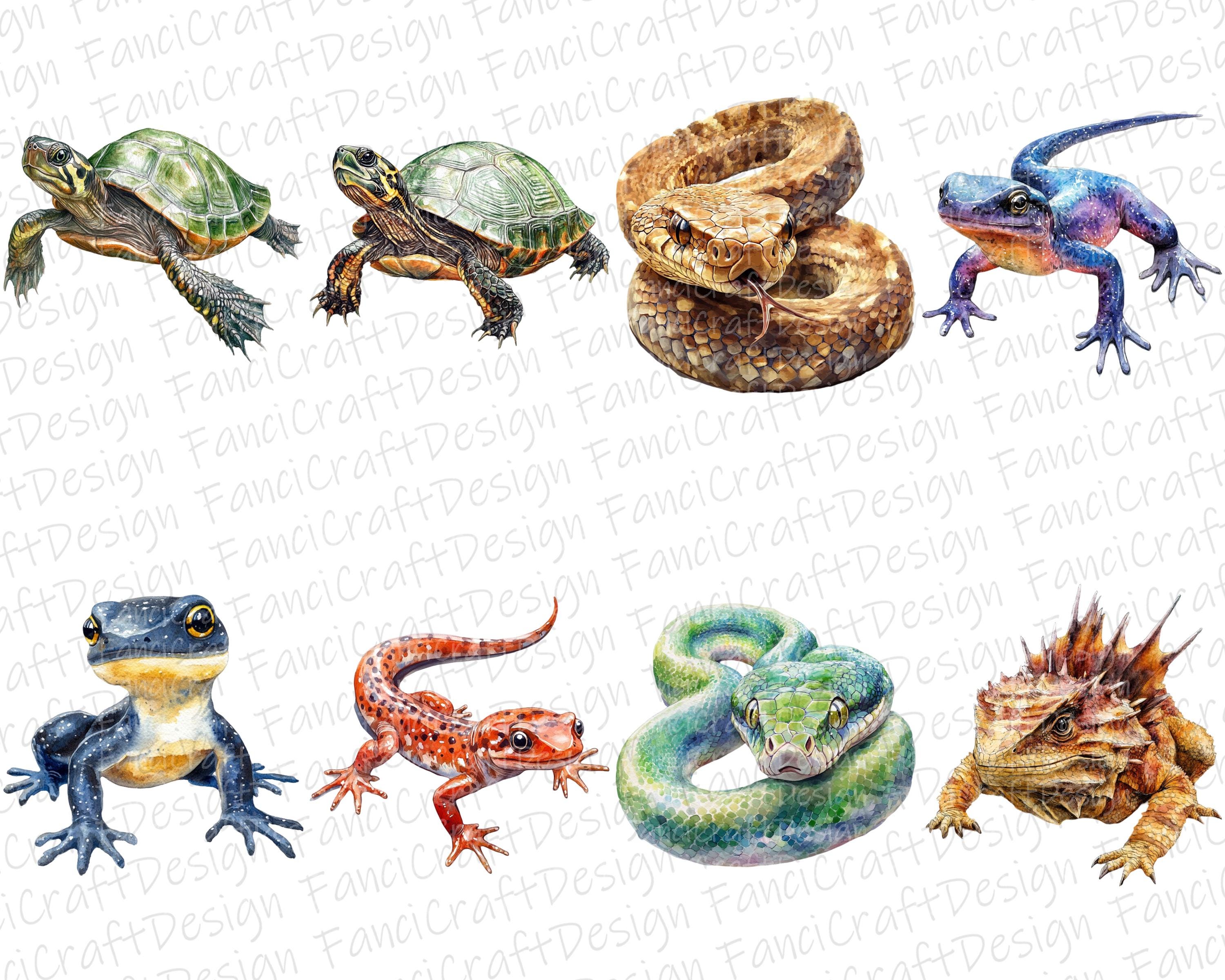 Reptile Turtle Alligator Lizard Snake 40 Animal Watercolor Clipart ...