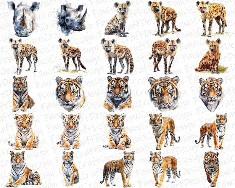 Safari African Animal Lion Tiger Monkey 172 Watercolor Style Clipart ...