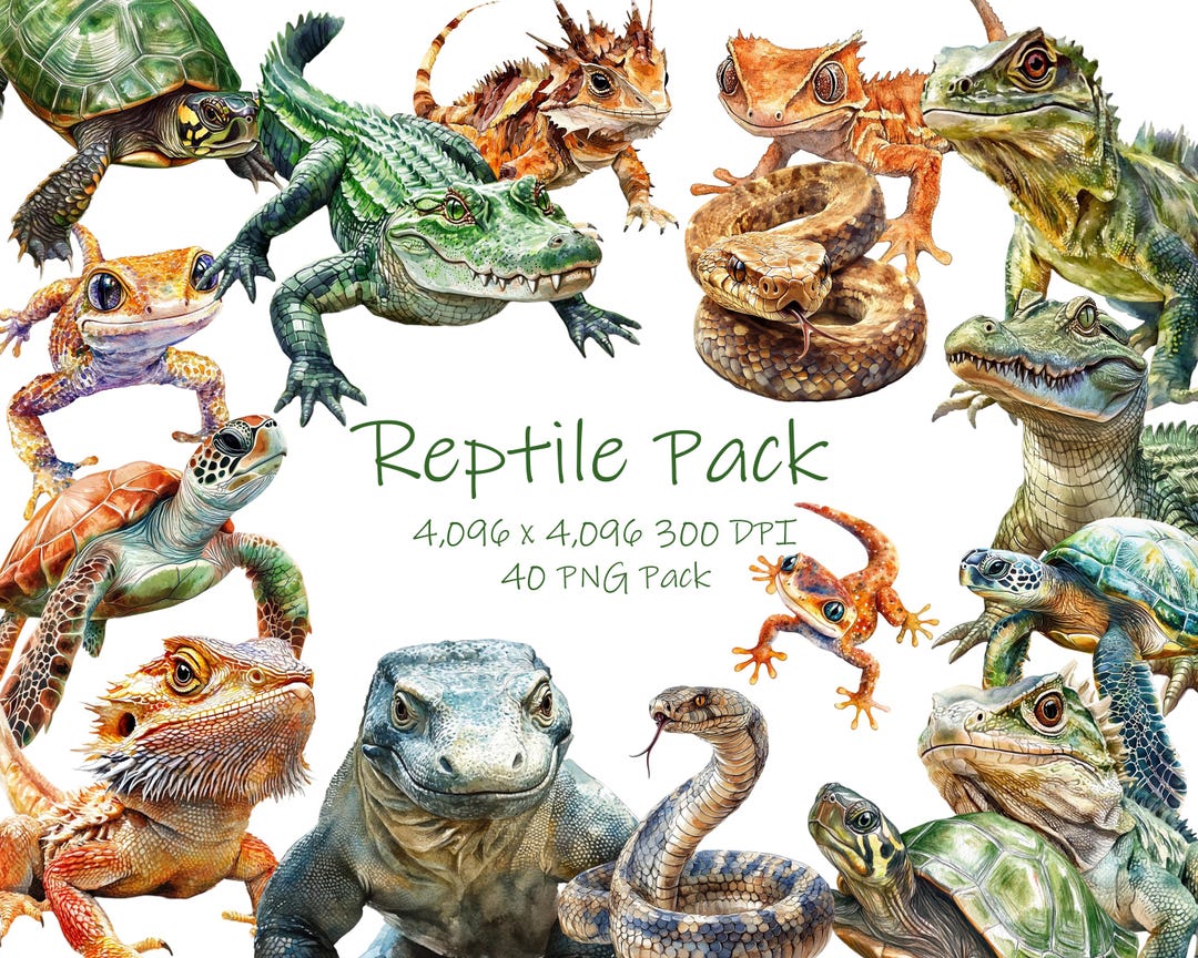 Reptile Turtle Alligator Lizard Snake 40 Animal Watercolor Clipart ...