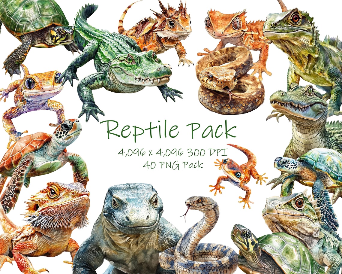 Reptile Turtle Alligator Lizard Snake 40 Animal Watercolor Clipart ...
