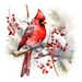 12 Cardinal Red Christmas Clipart Pack Christmas Bird JPG Digital ...