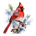 12 Cardinal Red Christmas Clipart Pack Christmas Bird JPG Digital ...
