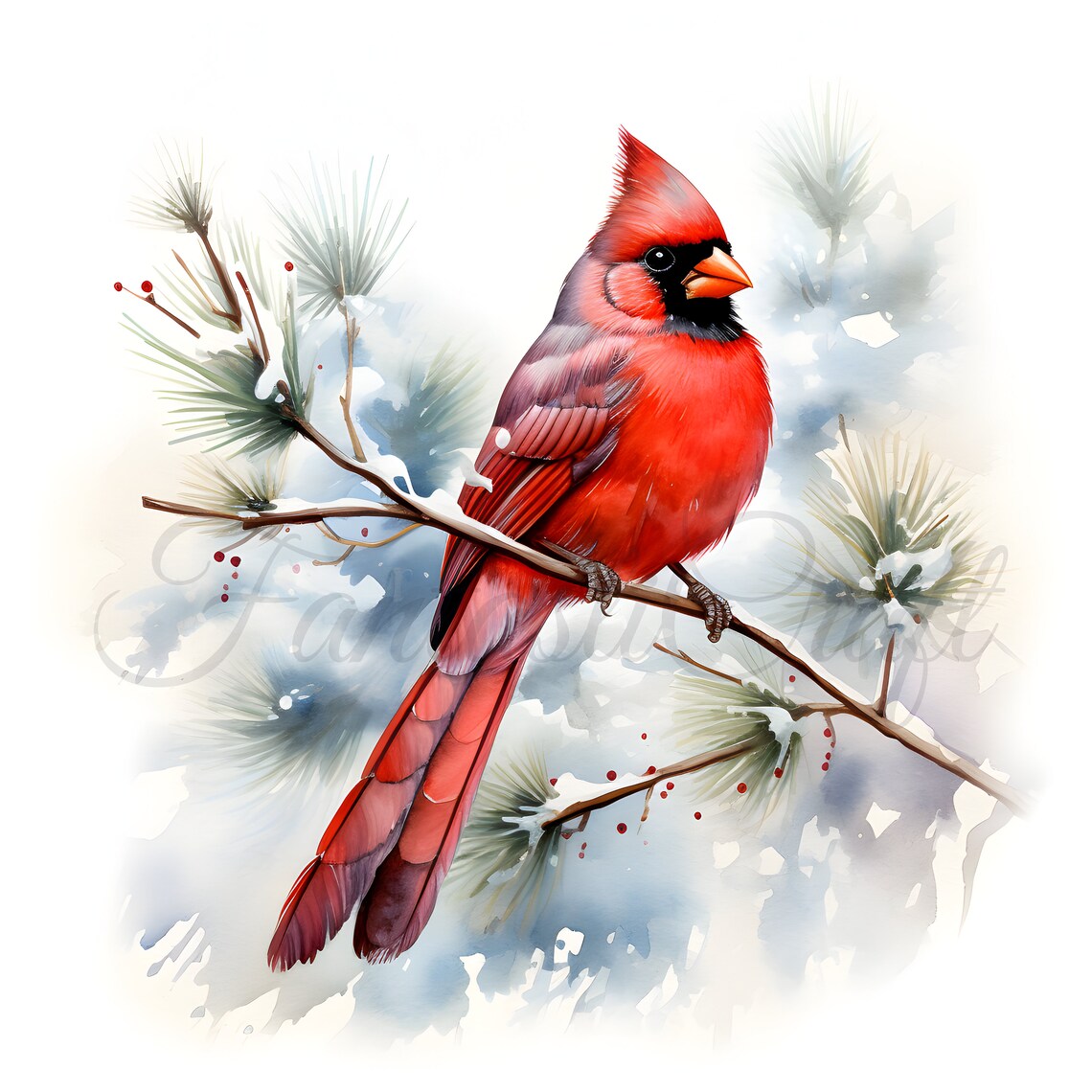 12 Cardinal Red Christmas Clipart Pack Christmas Bird JPG Digital ...