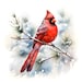 12 Cardinal Red Christmas Clipart Pack Christmas Bird JPG Digital ...