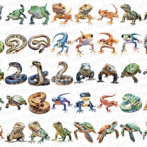 Reptile Turtle Alligator Lizard Snake 40 Animal Watercolor Clipart ...
