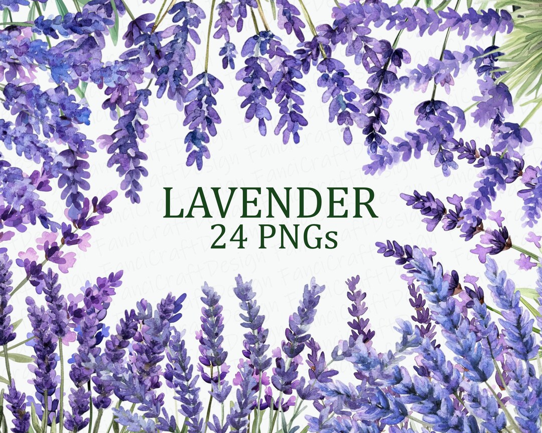 Lavender Flowers 24 Purple Floral Clipart Pack Watercolor Printable PNG ...