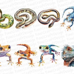 Reptile Turtle Alligator Lizard Snake 40 Animal Watercolor Clipart ...