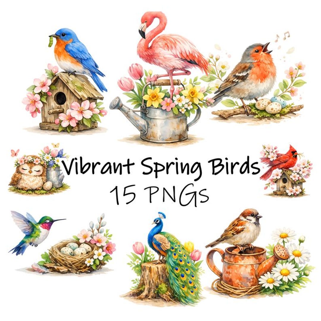 Vibrant Spring Birds Watercolor Clipart | 15 PNG | Transparent ...