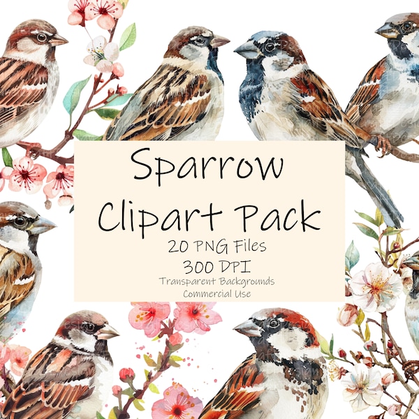 Sparrow Watercolor - Etsy