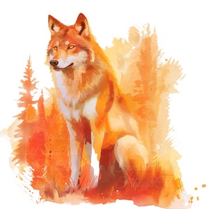 Wolf Orange 12 Pack 2 Forest Animal Watercolor Moon Clipart Wolves PNG ...