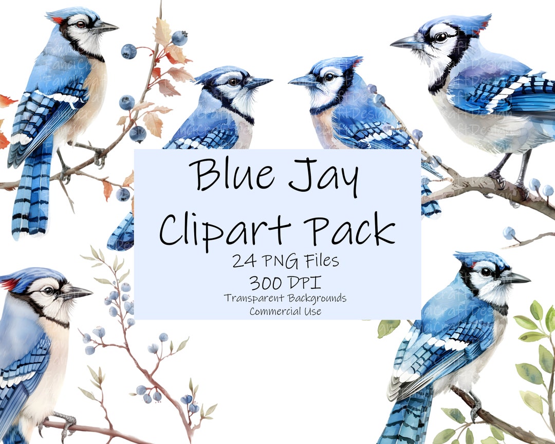 Blue Jay Bird Clipart Pack Watercolor Blue Bird PNG Digital Download ...