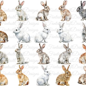 22 Cute Easter Bunny Animal Watercolor Clipart Vintage Rabbit Pack PNG ...