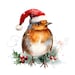 12 Christmas Robin Clipart Pack Christmas Bird JPG Digital Download 300 ...