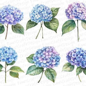 Hydrangea Purple Flowers 30 Floral Clipart Pack Watercolor Printable ...