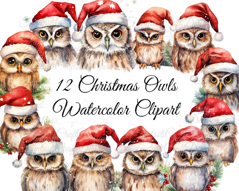 12 Owl Christmas Watercolor Clipart Pack PNG Digital Download 300 DPI ...