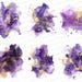59 Purple Paint Splatter Splash Watercolor Clipart Paint Pack PNG ...