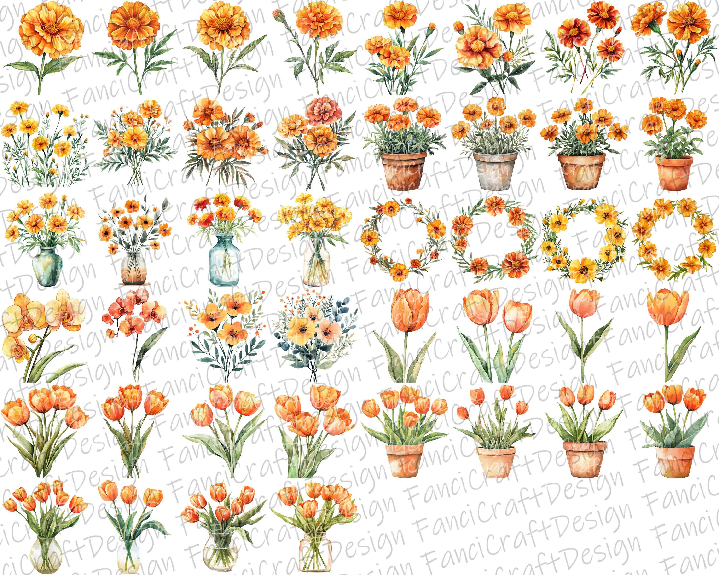 Orange Flower 44 Floral Clipart Pack Watercolor Printable PNG Digital ...