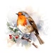 12 Christmas Robin Clipart Pack Christmas Bird JPG Digital Download 300 ...