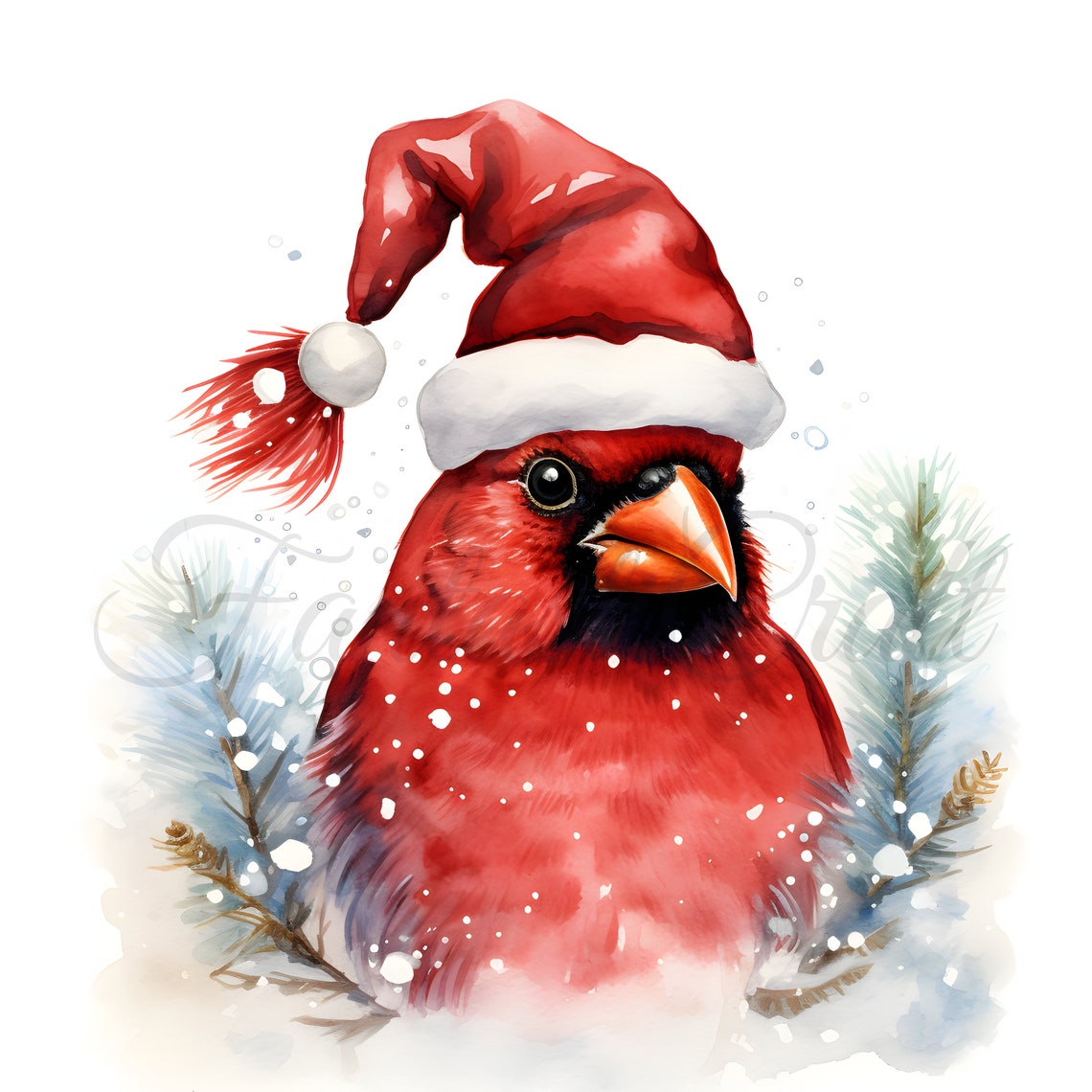 12 Cardinal Red Christmas Clipart Pack Christmas Bird JPG Digital ...