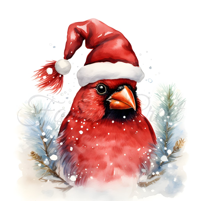 12 Cardinal Red Christmas Clipart Pack Christmas Bird JPG Digital ...