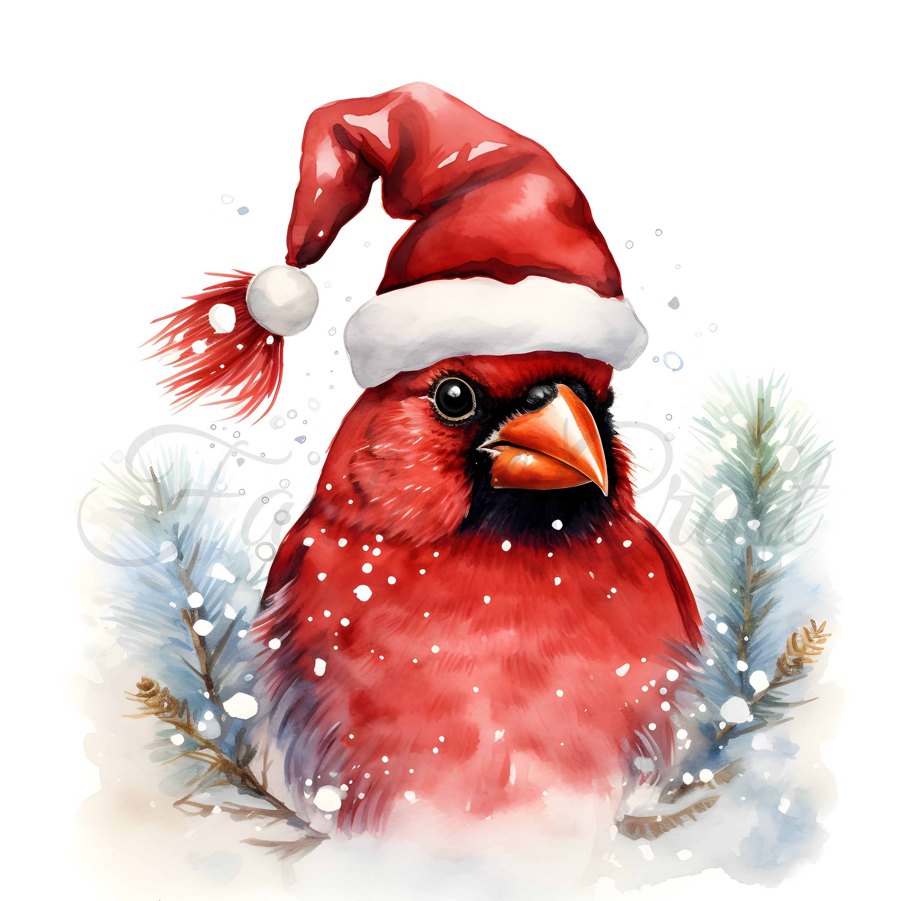 12 Cardinal Red Christmas Clipart Pack Christmas Bird JPG Digital ...