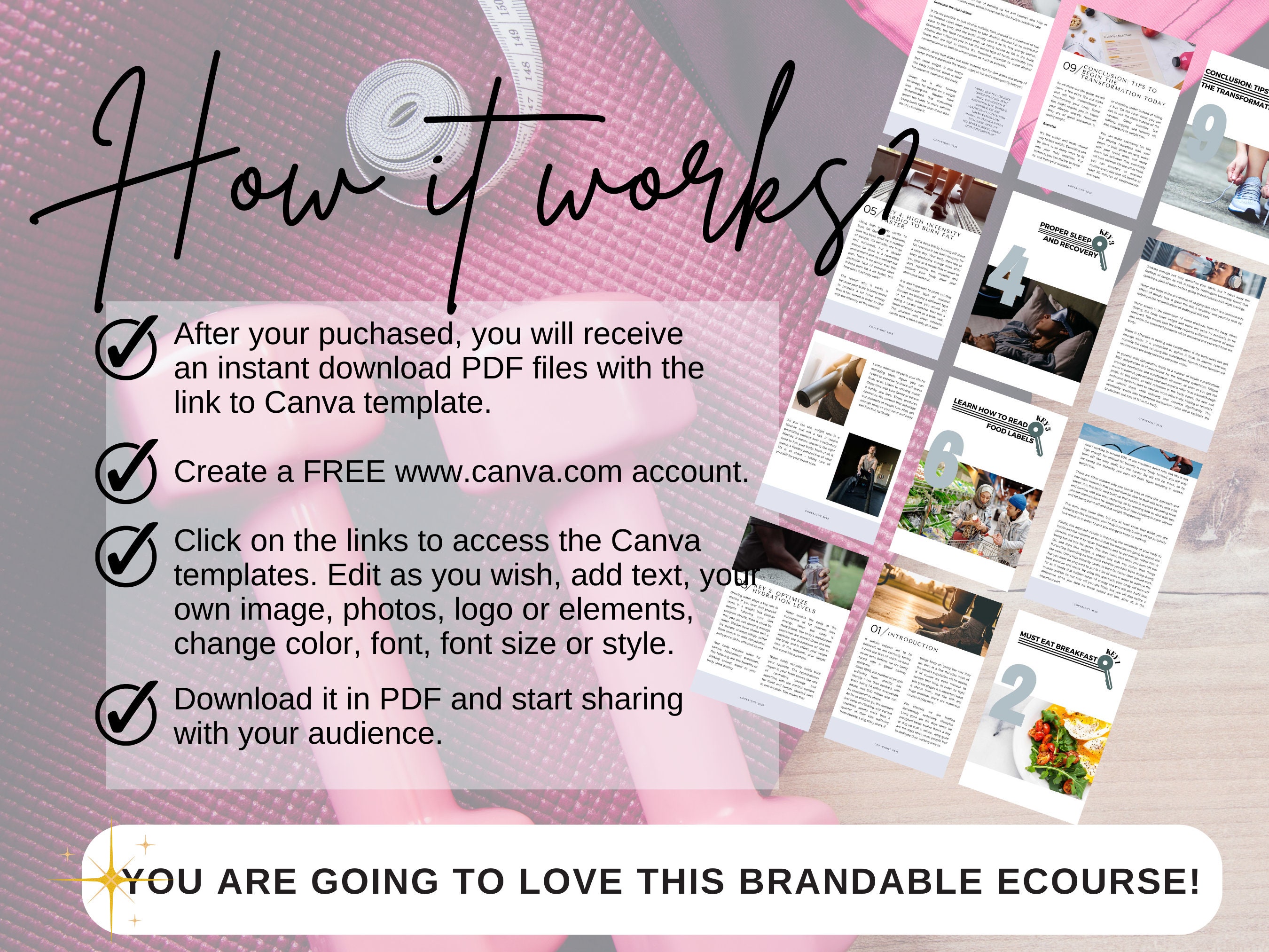 Done for You Body Transformation Brandable Coaching Program, Workbook ...