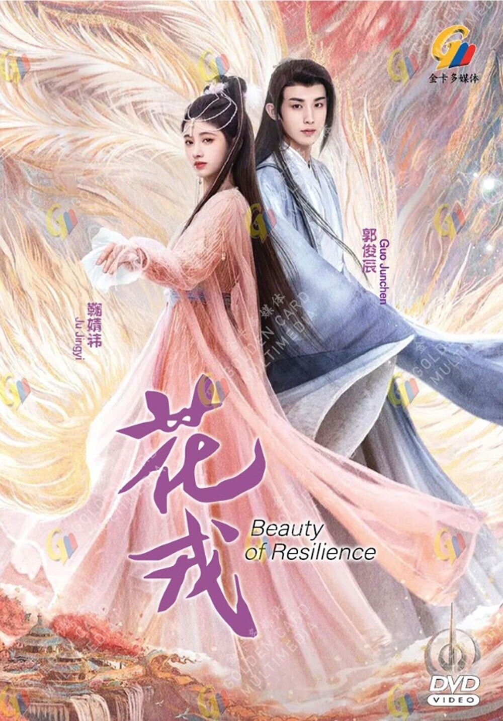 DVD Beauty of Resilience 花戎 Eps1-36 END English Subtitle All Region - Etsy