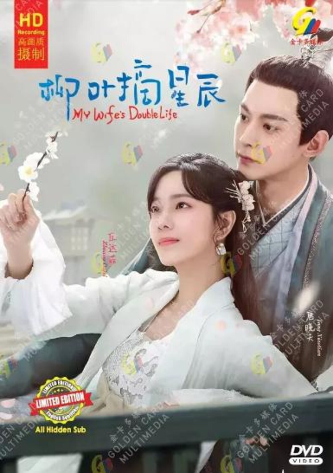 Chinese Drama: My Wife's Double Life 柳叶摘星辰 DVD English Subtitle Region ...