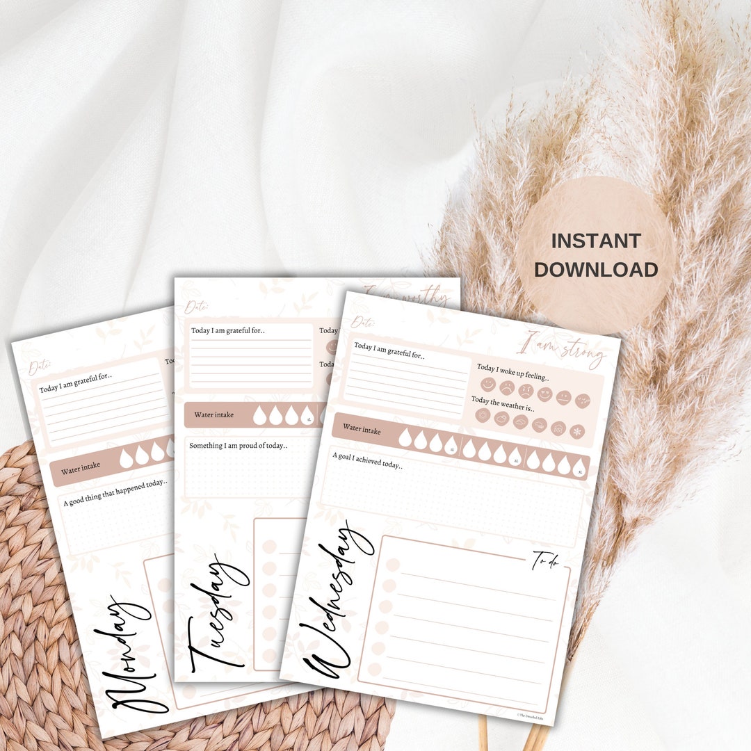 Printable Gratitude Daily Planner PDF Download, Gratitude Template ...