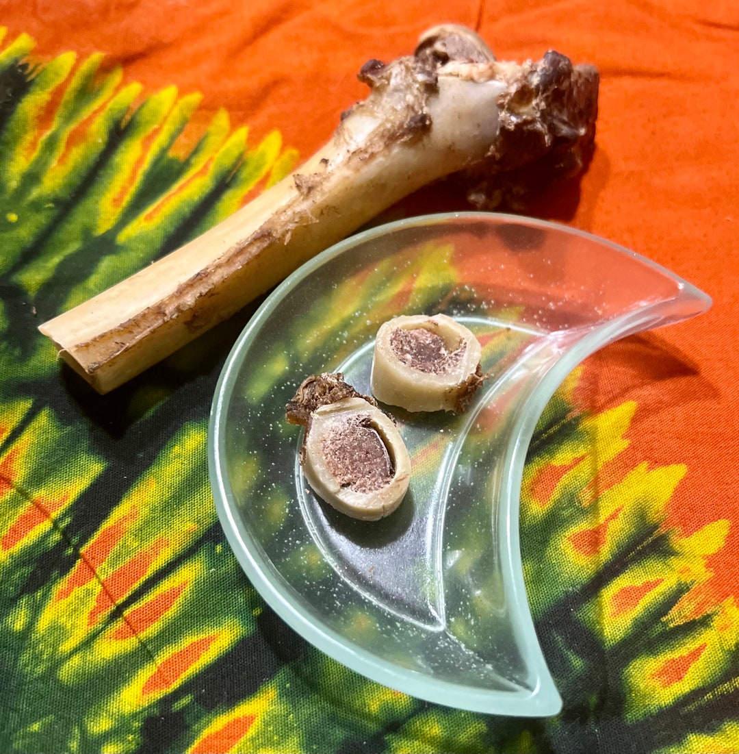 Venison Bone & Marrow Hermit Crab Snack - Etsy