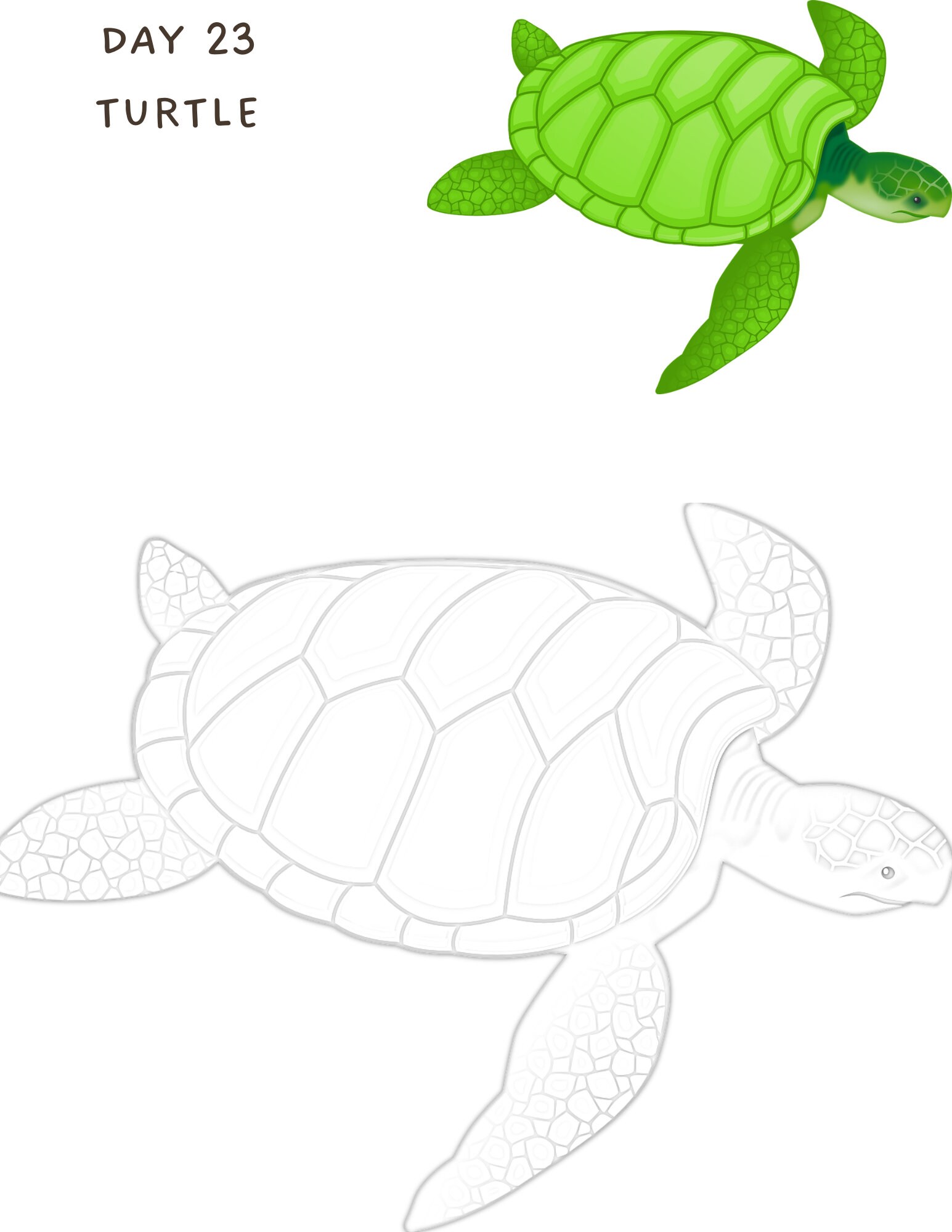 Beautiful Coloring Page 30 Day Animal Coloring Book Animal Drawings for ...