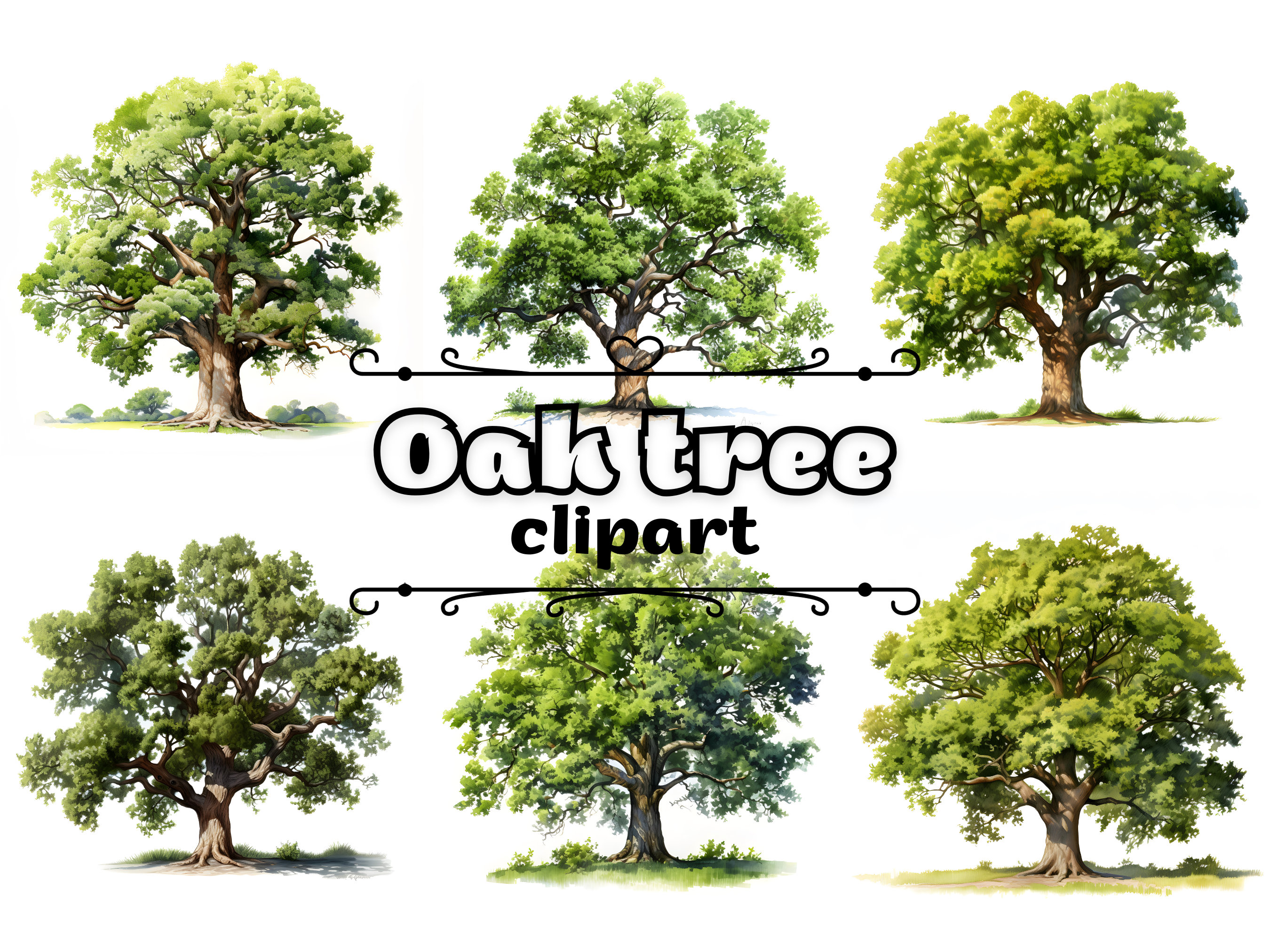 Oak Trees Clipart