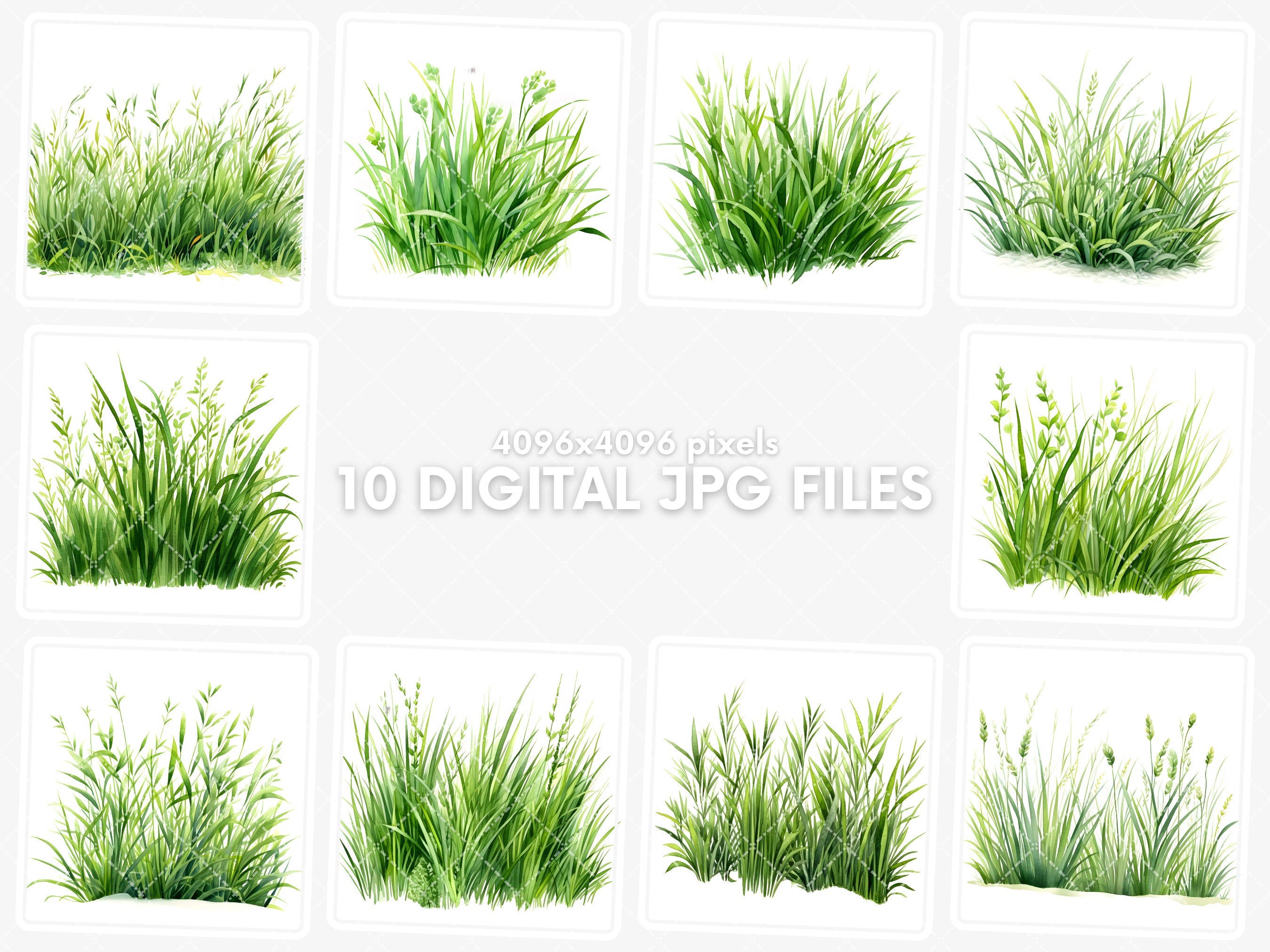 Watercolor Grass Clipart Spring Tufts of Botanical Grass Wild Grass ...