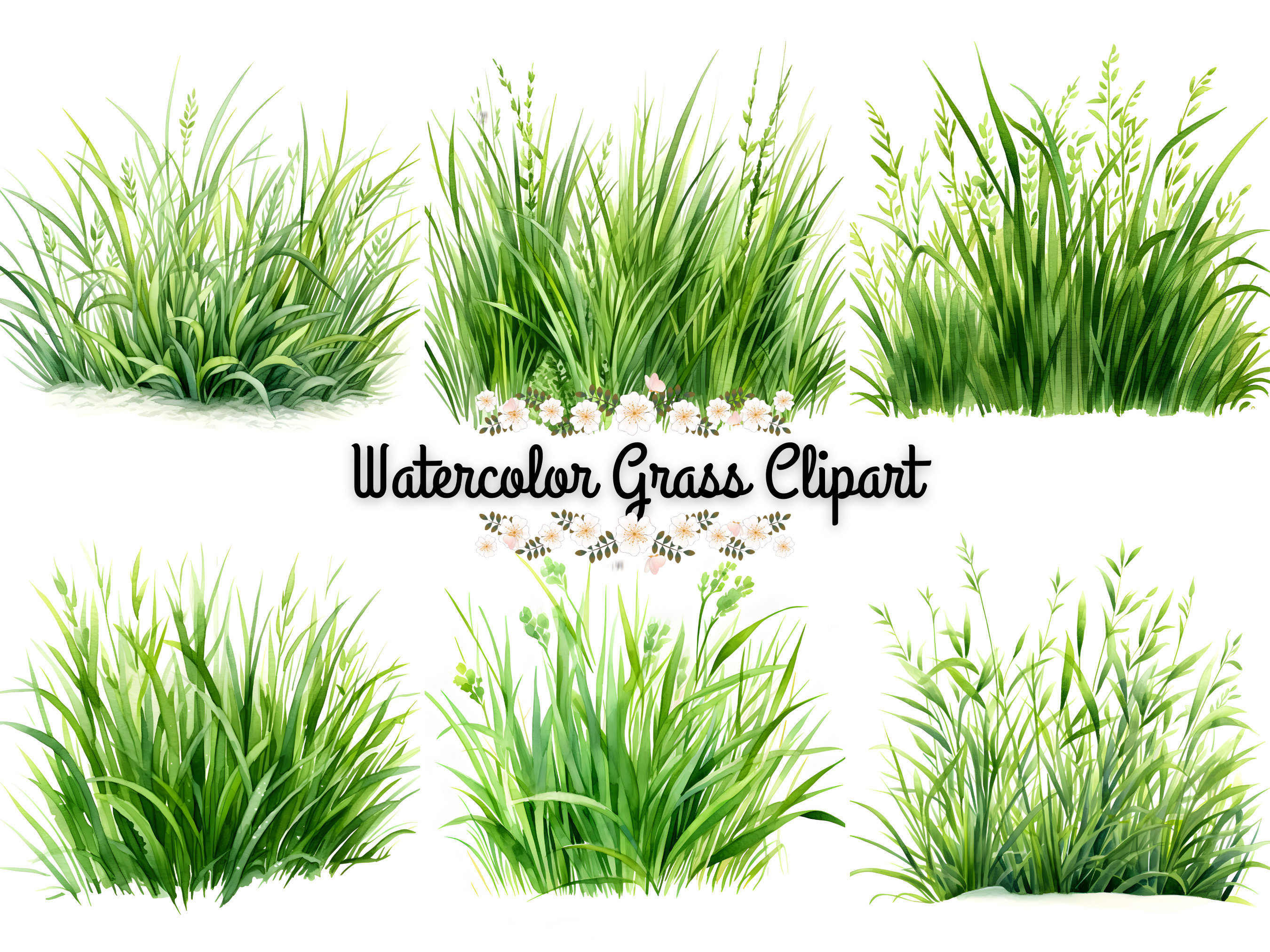 Watercolor Grass Clipart Spring Tufts of Botanical Grass Wild Grass ...