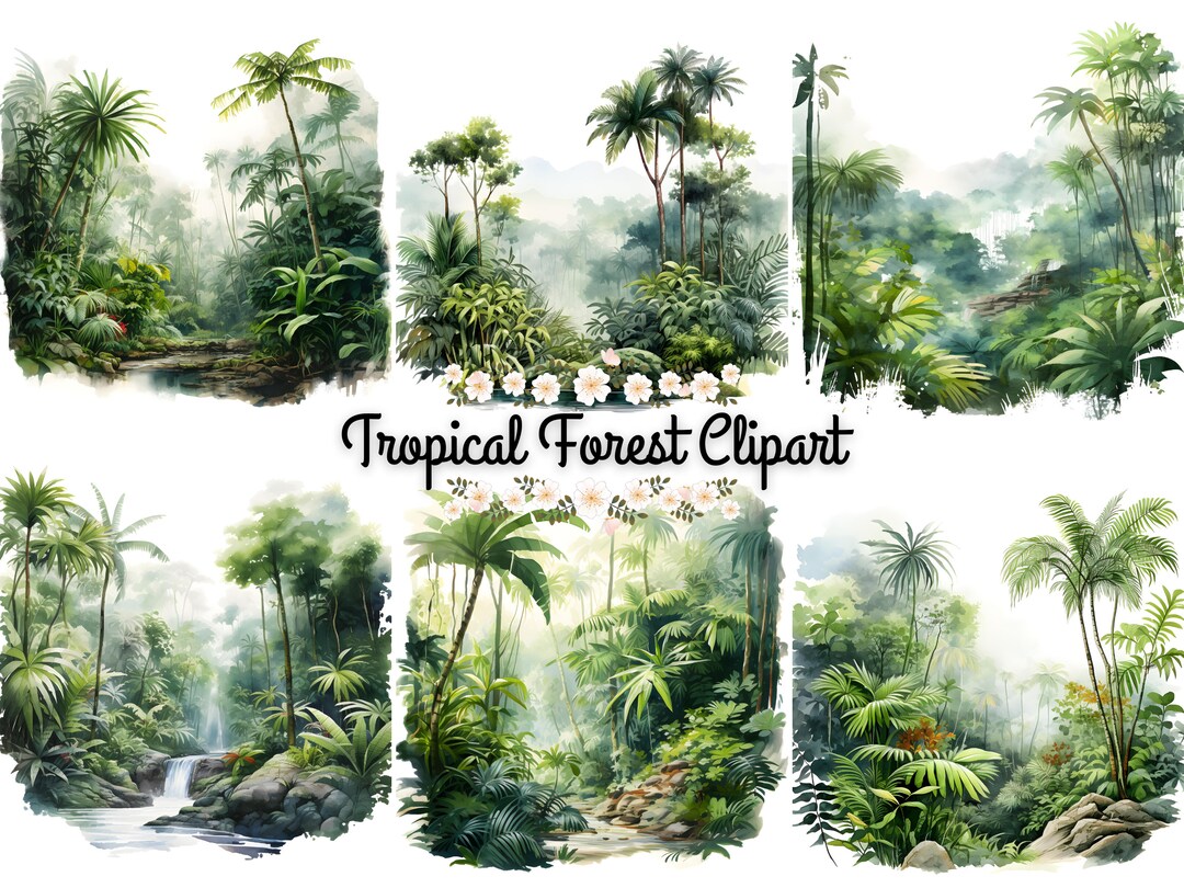 Tropical Forest Clipart Watercolor Tropical Forest Clipart - Etsy